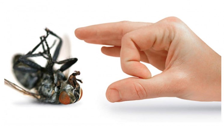 4 Bugging out 746x420 Considerable Kapturepest 4-bugging-out-746x420-considerable-kapturepest